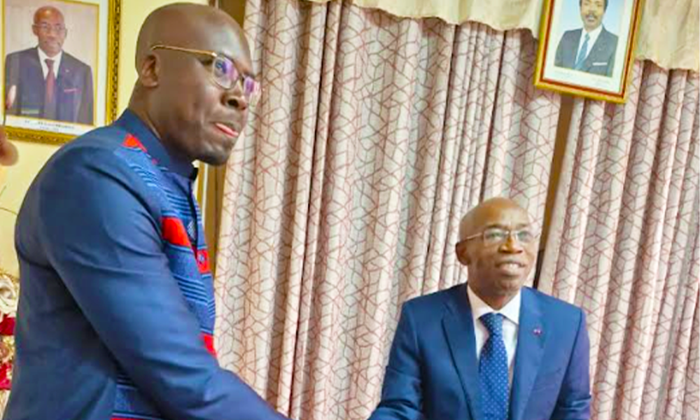 Ministère Des Forêts Et De La Faune| Single